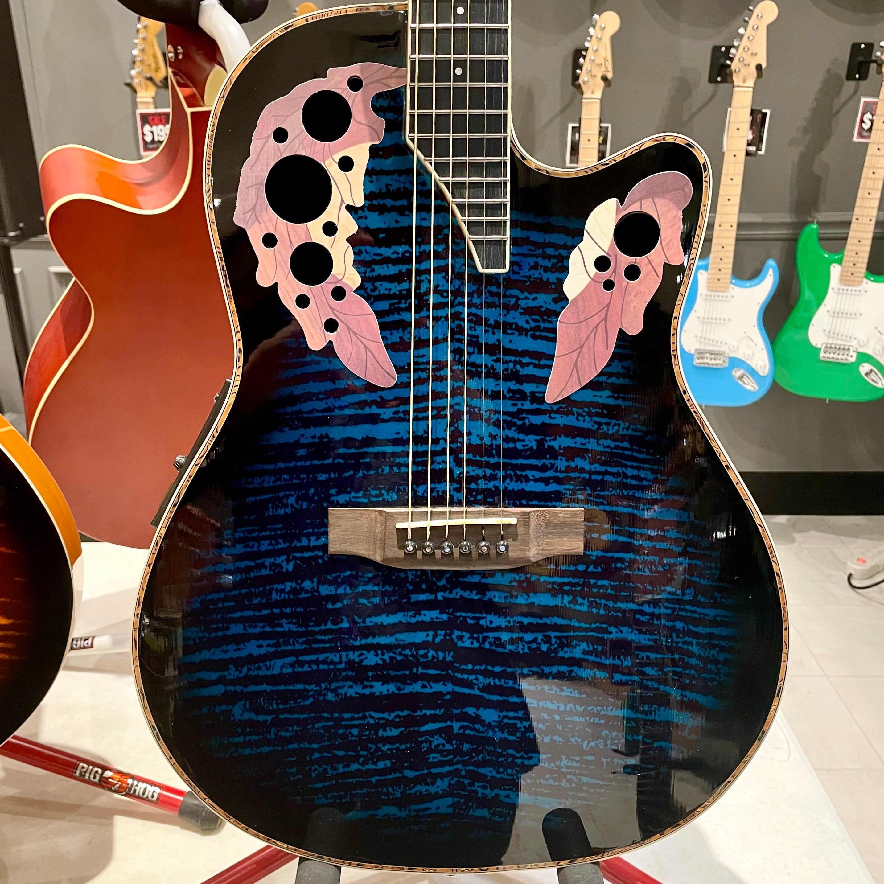 Acoustic Electric Guitars – Prince Music Company